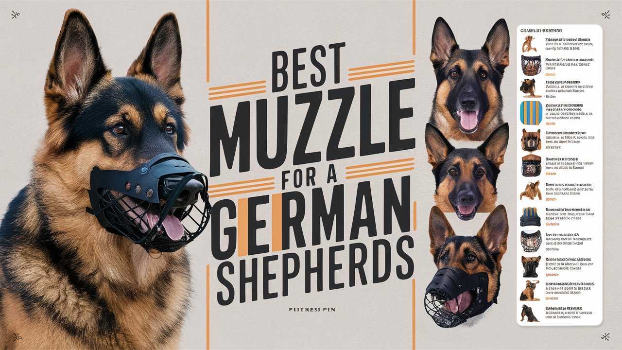 Best Muzzle for a German Shepherd - The Pet Supply Guy