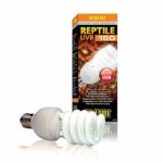 Best UVB Light for Bearded Dragon - The Pet Supply Guy