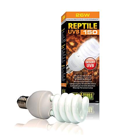 Best UVB Light for Bearded Dragon - The Pet Supply Guy