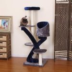 Best Cat Trees for Multiple Cats - The Pet Supply Guy