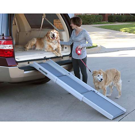Pet Ramps for RVs - The Pet Supply Guy