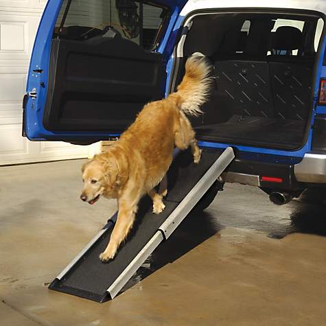 Pet Ramps for RVs - The Pet Supply Guy