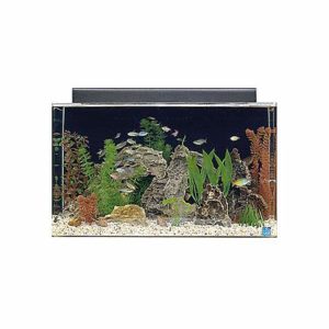 Aquarium Filter Size Calculator - The Pet Supply Guy